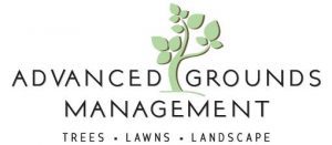 Residential and Commercial Landscaping Southern Highlands