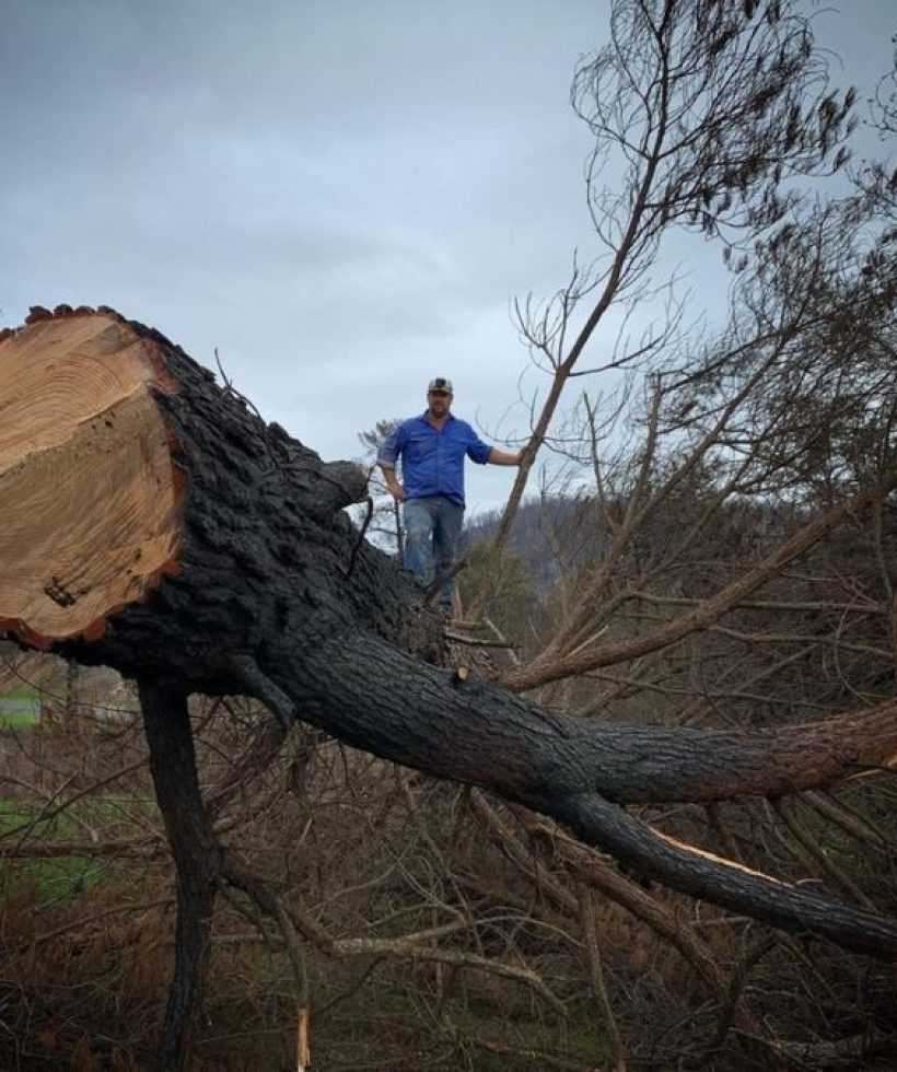 Residential and Commercial Landscaping Southern Highlands